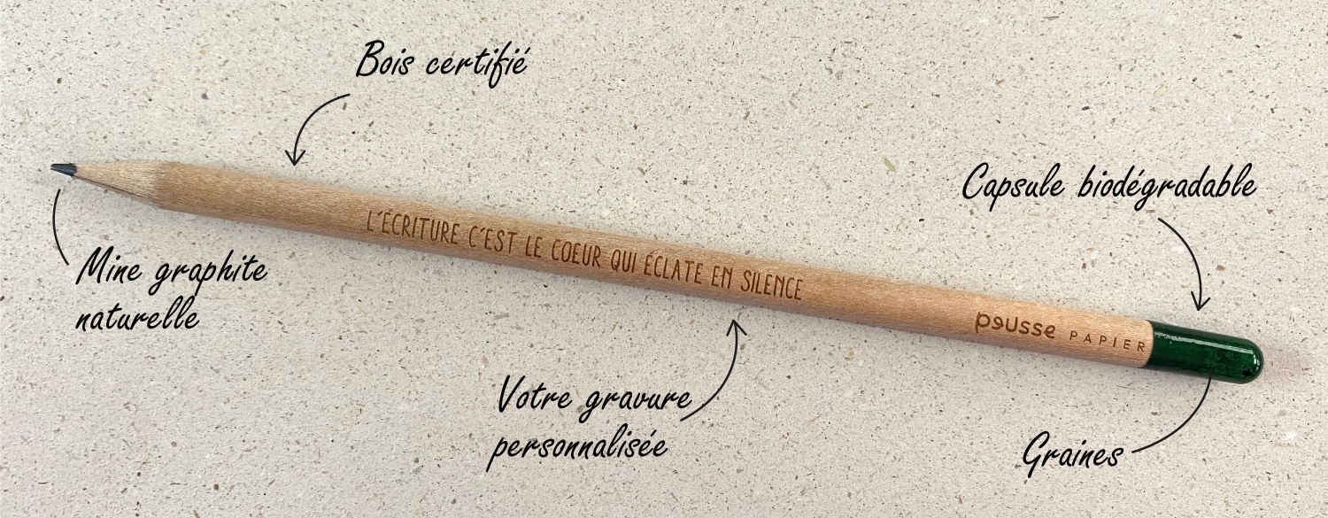 Crayon à planter : comment l'utiliser